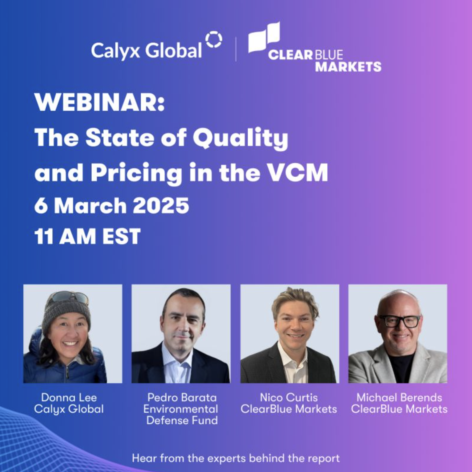 Calyx Global Webinar: State of quality and pricing in the VCM